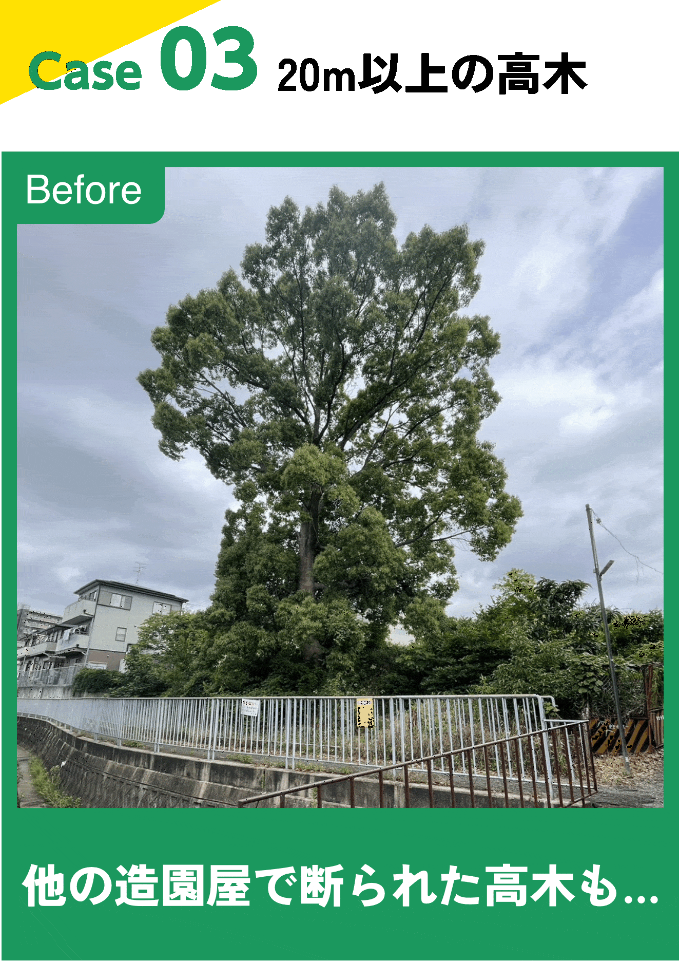 関西圏で空き家や庭の伐採ならエニシアへ |【公式】大阪・兵庫等の関西圏で特殊伐採なら株式会社ENISIA(エニシア)