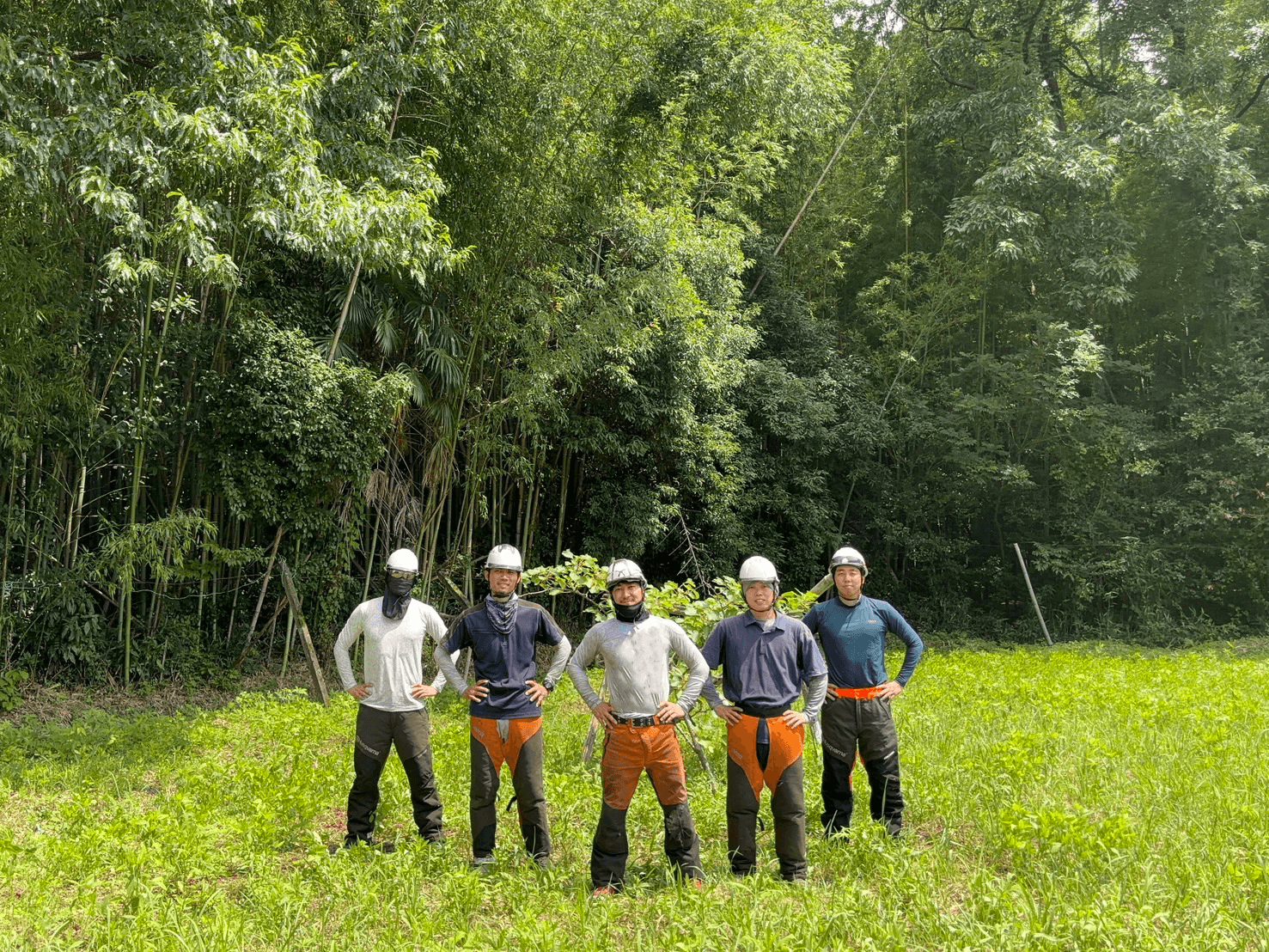 大阪で伐採/草刈り/剪定/人工芝ならENISIA(エニシア)へ | 無料見積もり受付中