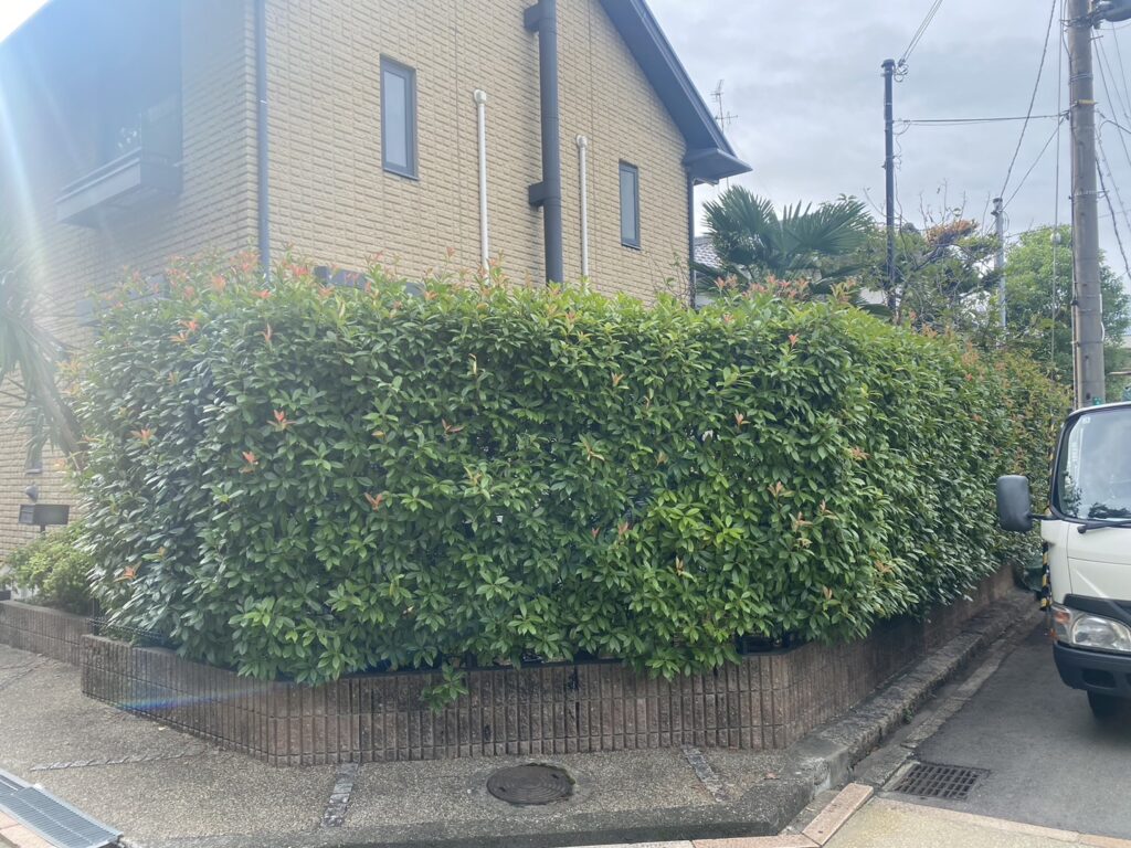 東大阪市 除草 剪定：株式会社ENISIAの除草 剪定作業レポート