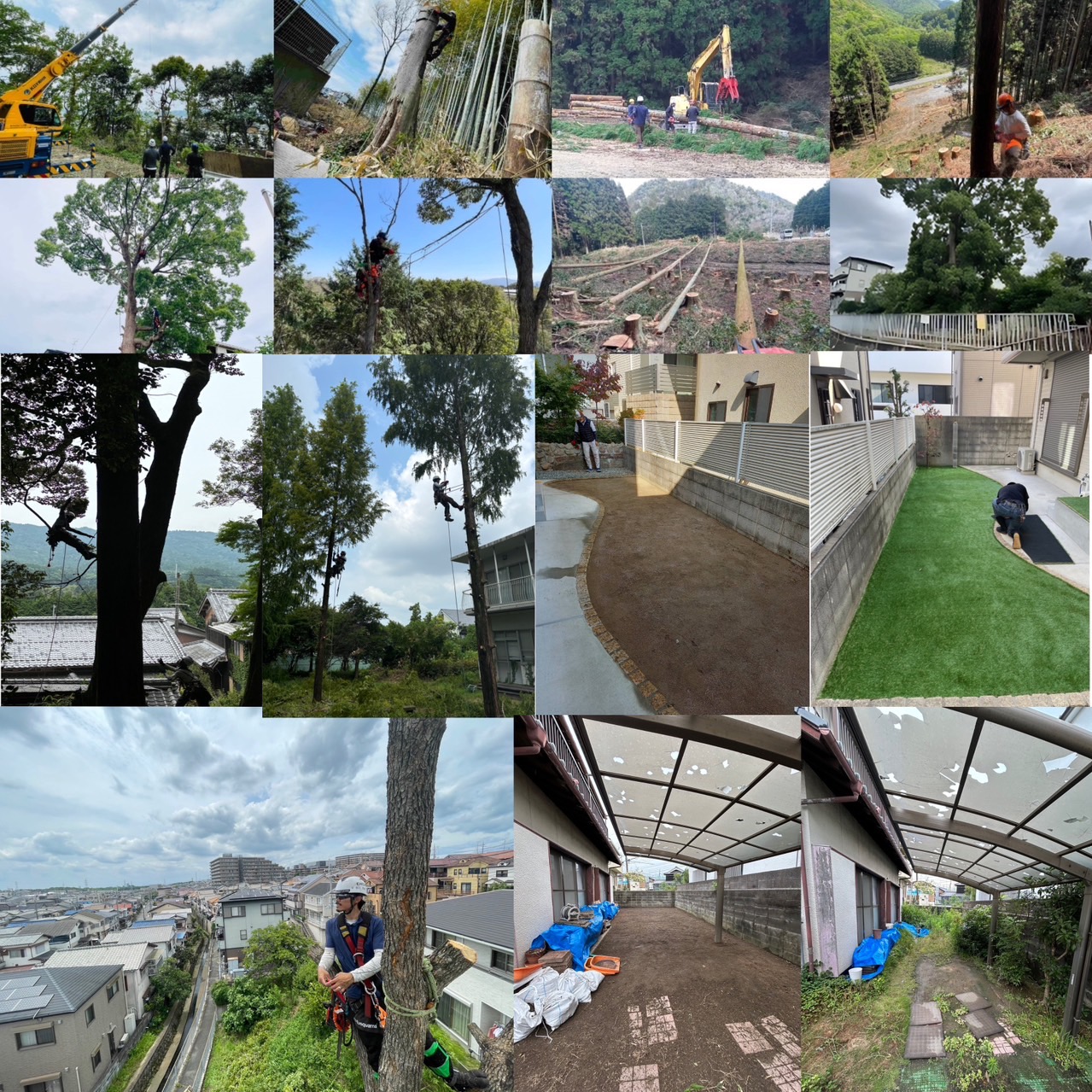 【相場早見表】雑木林の伐採費用はいくら？料金を左右する要因と後悔しない業者選び