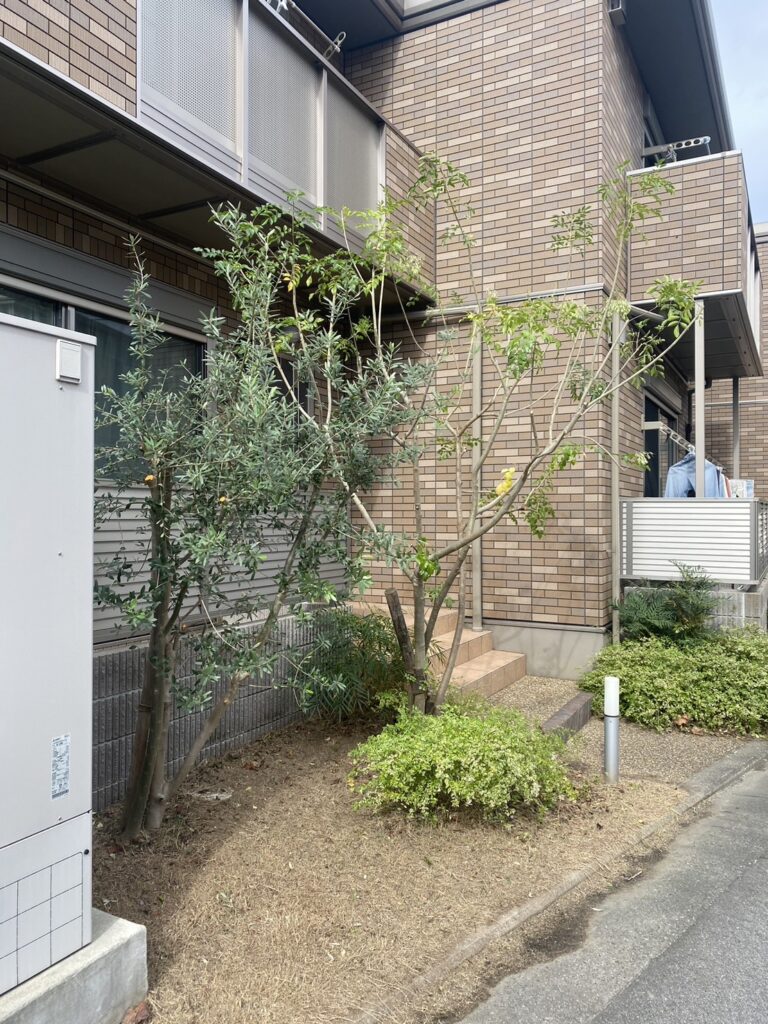 大東市 剪定 除草：株式会社ENISIAの剪定 除草作業レポート