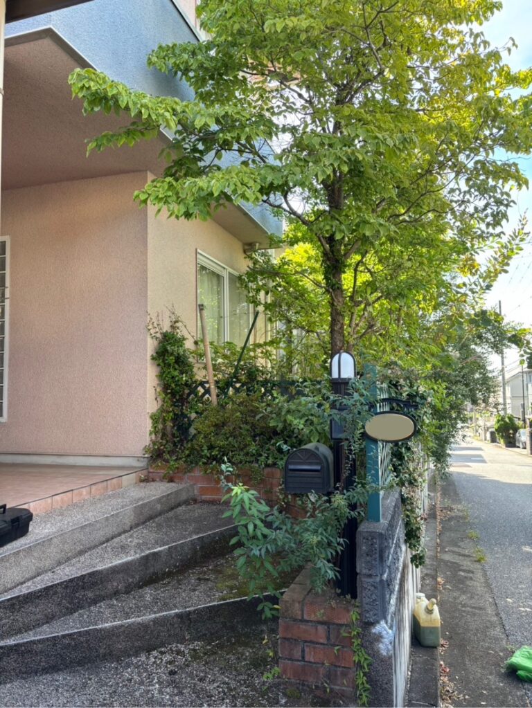 神戸市 伐採 除草 防草シート敷設：株式会社ENISIAの作業レポート