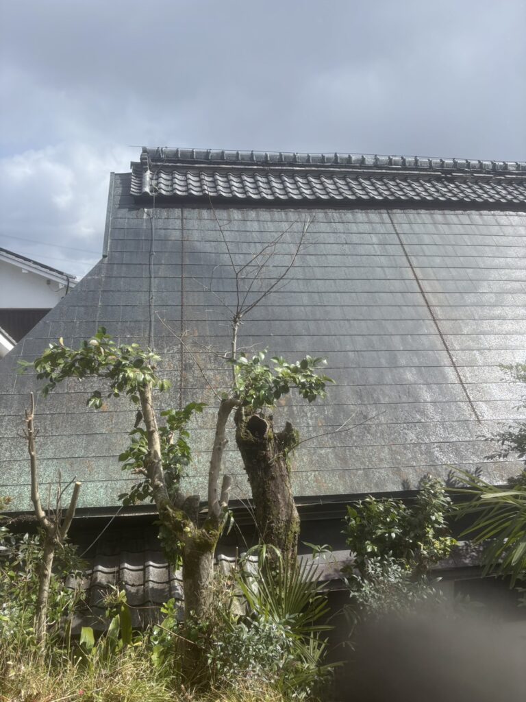 箕面市 高木 伐採：株式会社ENISIAの高木 伐採作業レポート